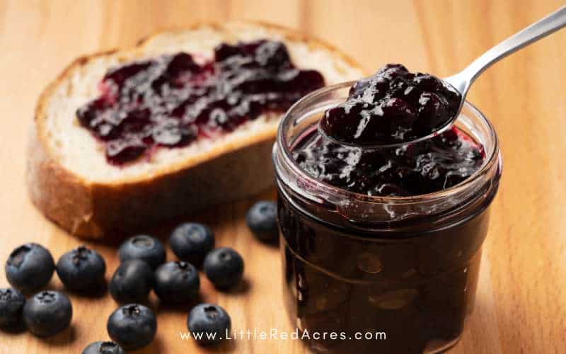 13 Blueberry Jams and Jelly Recipes