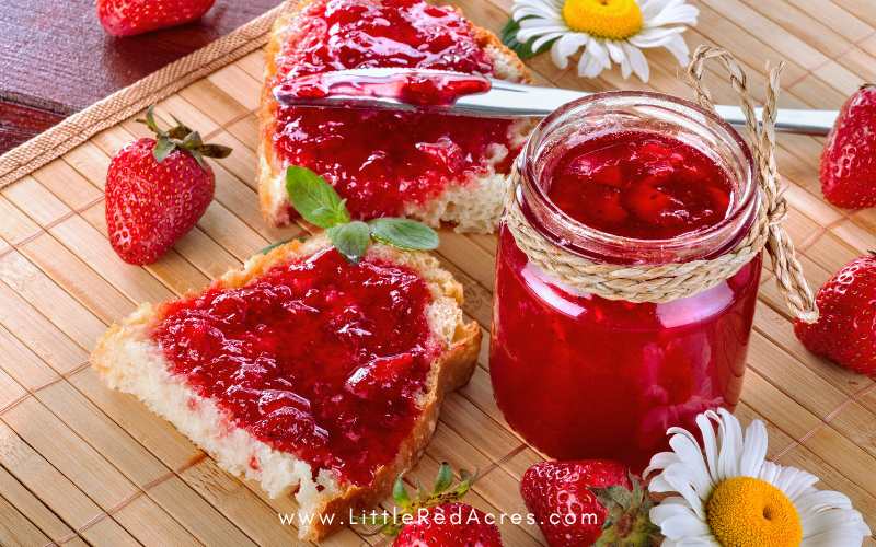 37 Strawberry Jams and Jelly Recipes