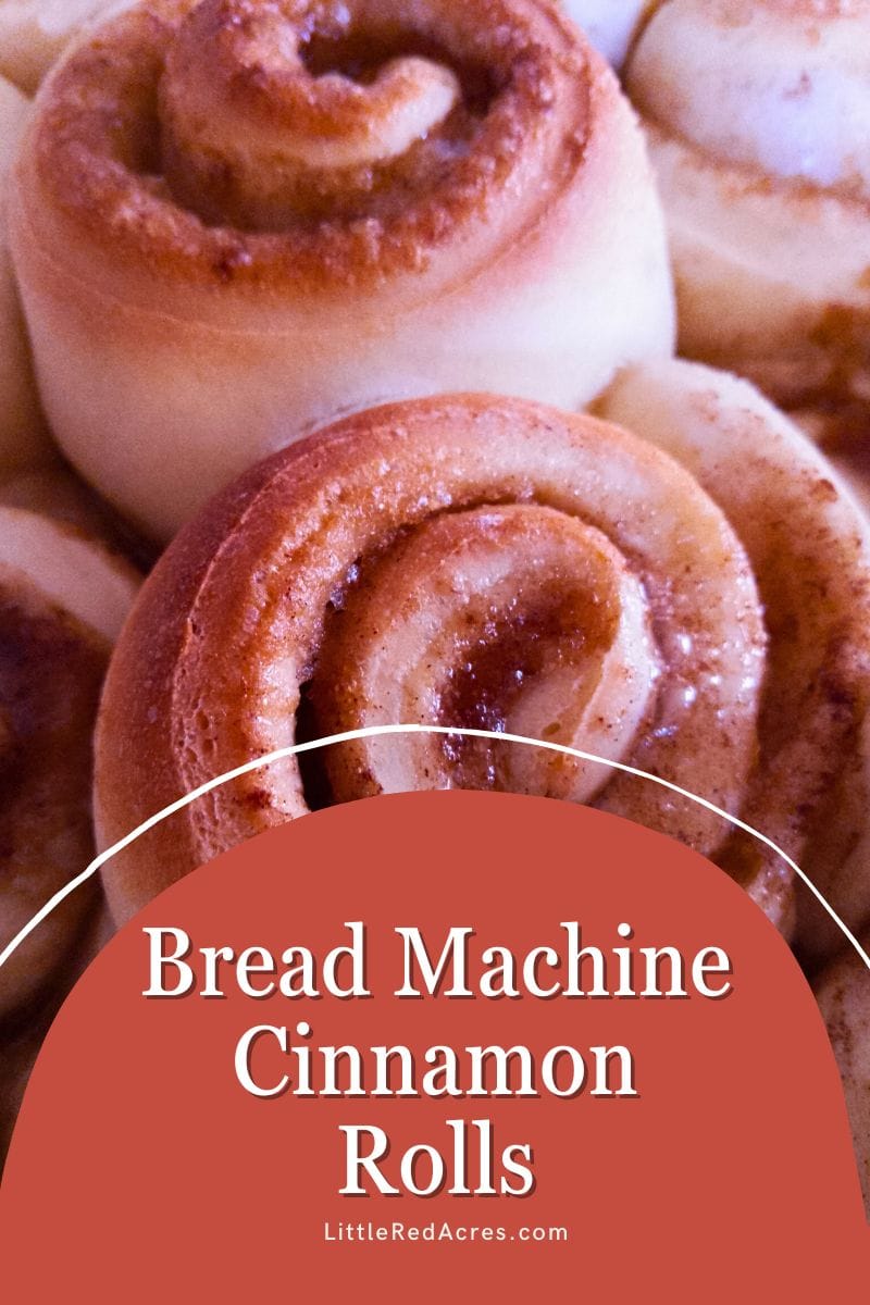Bread Machine Cinnamon Roll Recipe