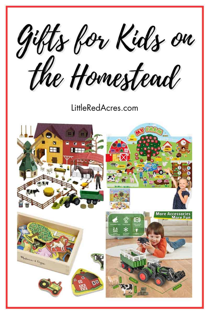 Gifts for Kids on the Homestead