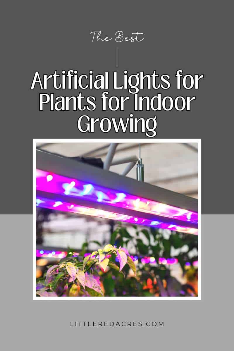 The Best Artificial Lights for Plants for Indoor Growing