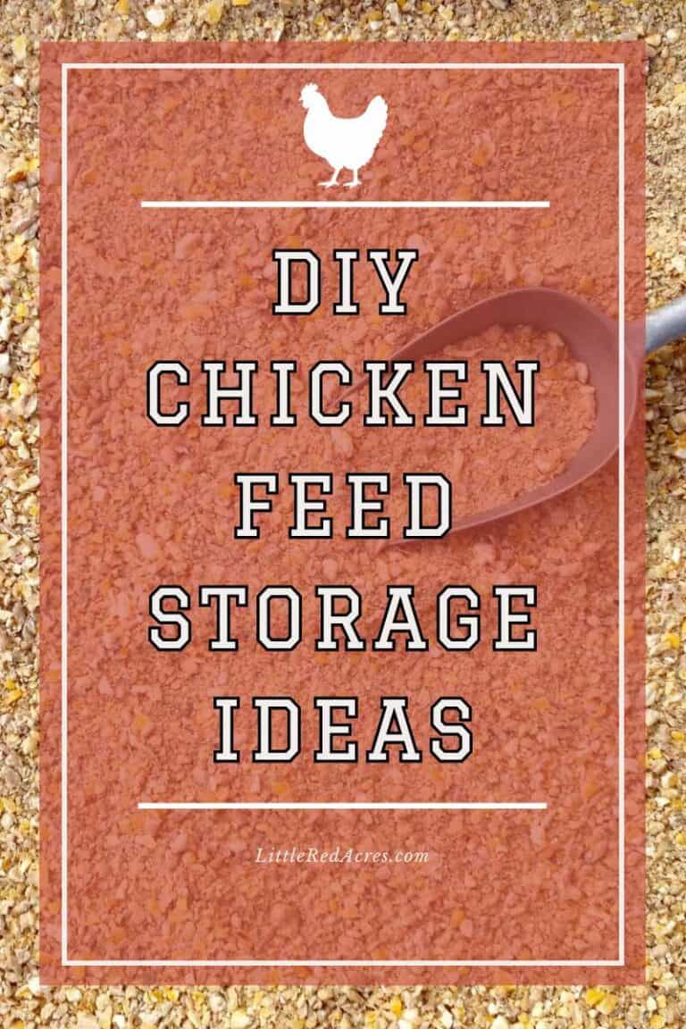 DIY Chicken Feed Storage Ideas for Store Extra Feed
